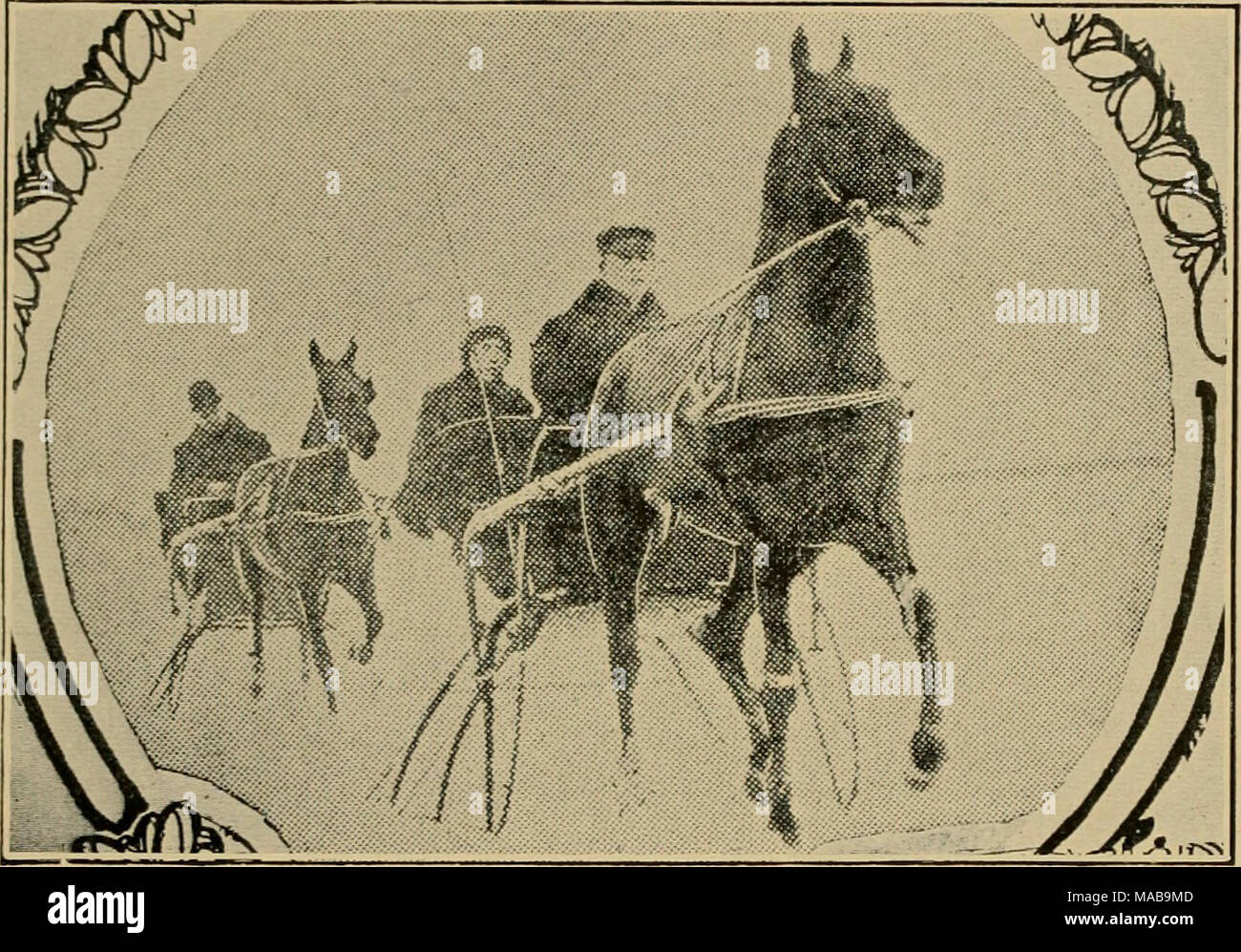 Nelsons bellows hi-res stock photography and images - Alamy