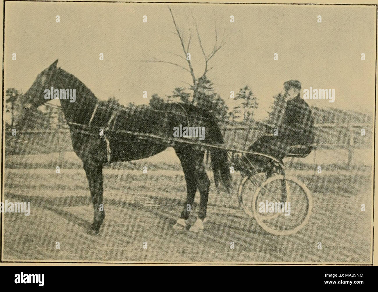 . The driving clubs of greater Boston . LADY MADISON, 2:20 1-4 One of ...