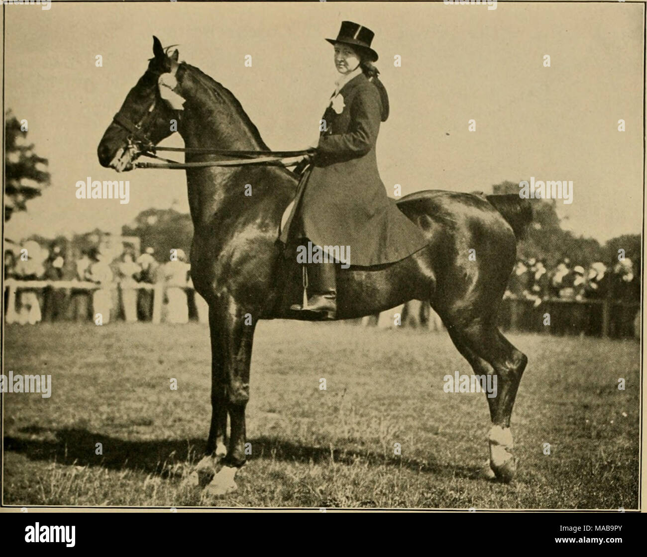 Miss hewitt hi-res stock photography and images - Alamy