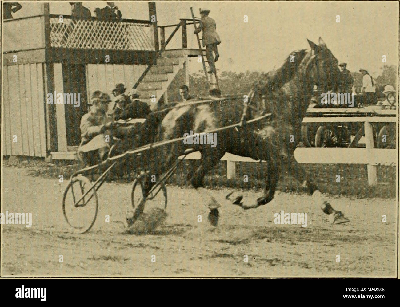 . The driving clubs of greater Boston . KATHERINE R., 2:11 3-4 Joint ...