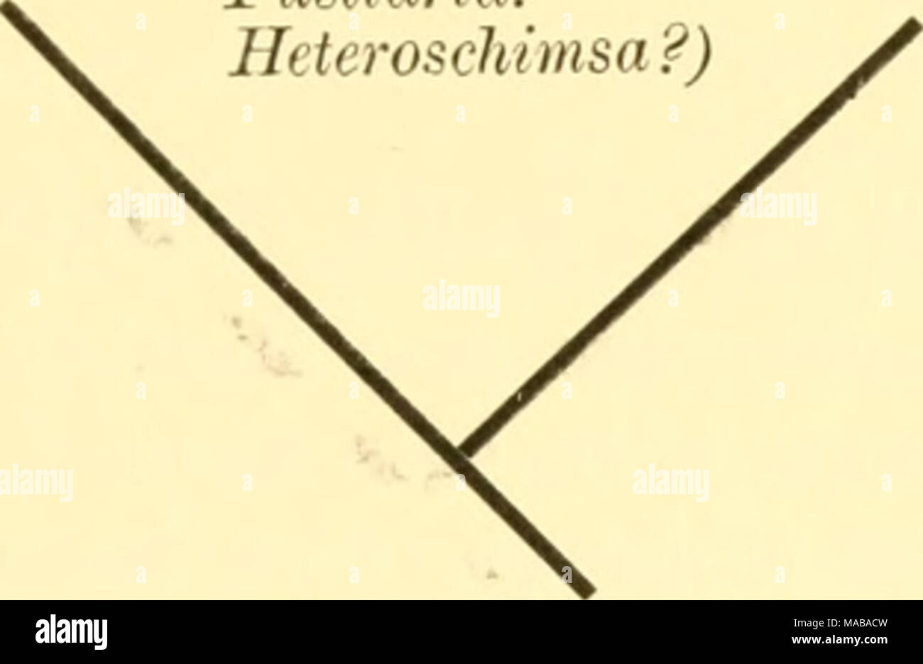 . Dr. H. G. Bronn's Klassen und Ordnungen des Thier-Reichs ...
