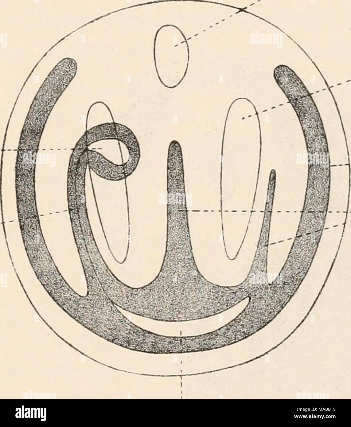 . Dr. H.G. Bronn's Klassen und Ordnungen des Thier-Reichs ...