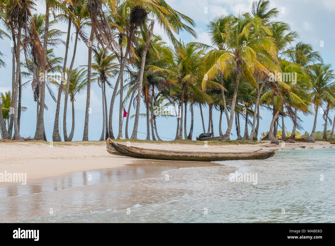 Canoe trees hi-res stock photography and images - Alamy