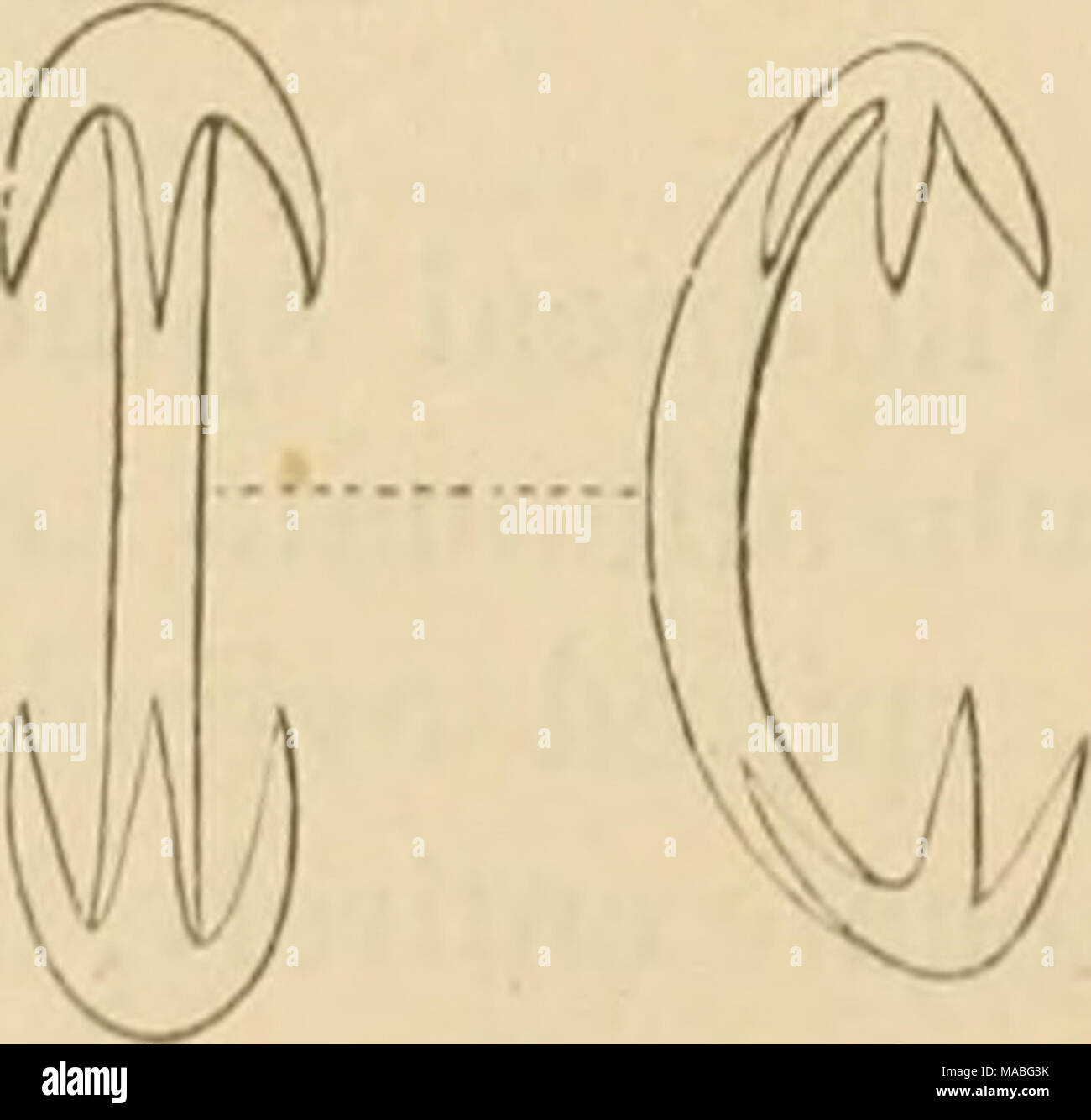 Rut ral hi-res stock photography and images - Alamy