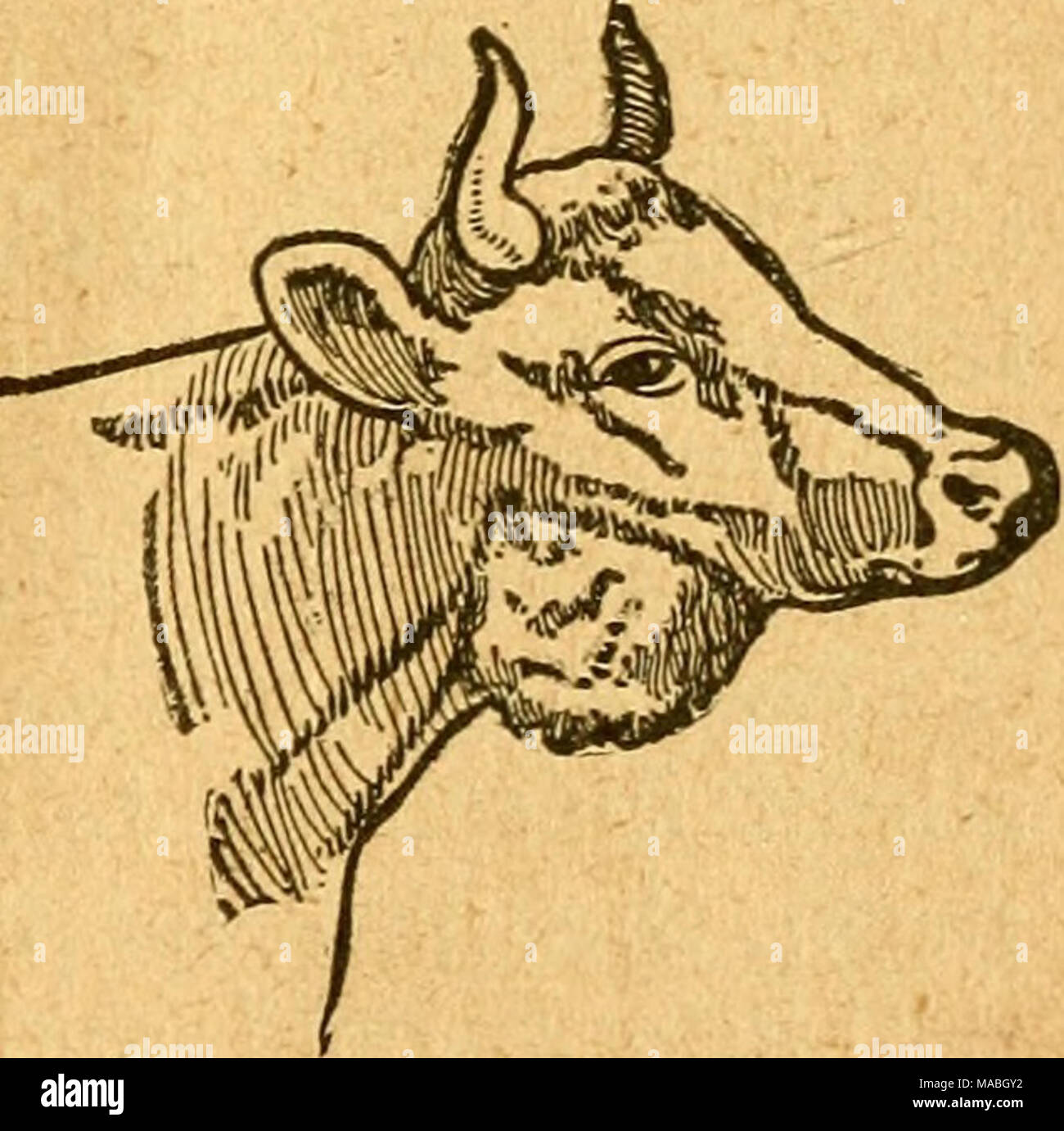 Jaw tumor hi-res stock photography and images - Alamy