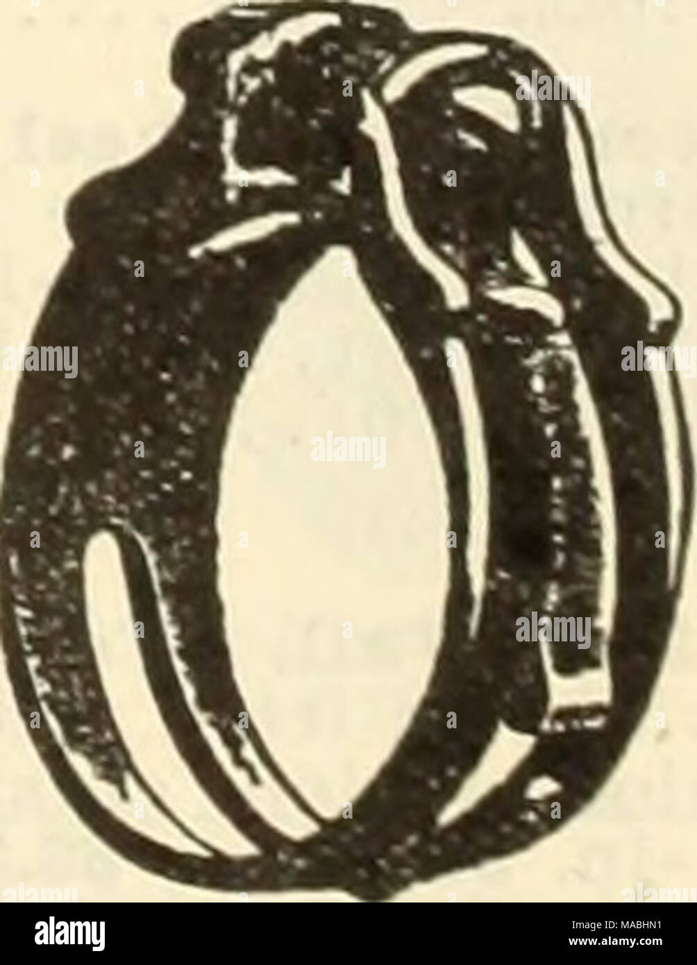 . Dreer's wholesale price list for florists . Sherman Hose Clamp Cooper ...