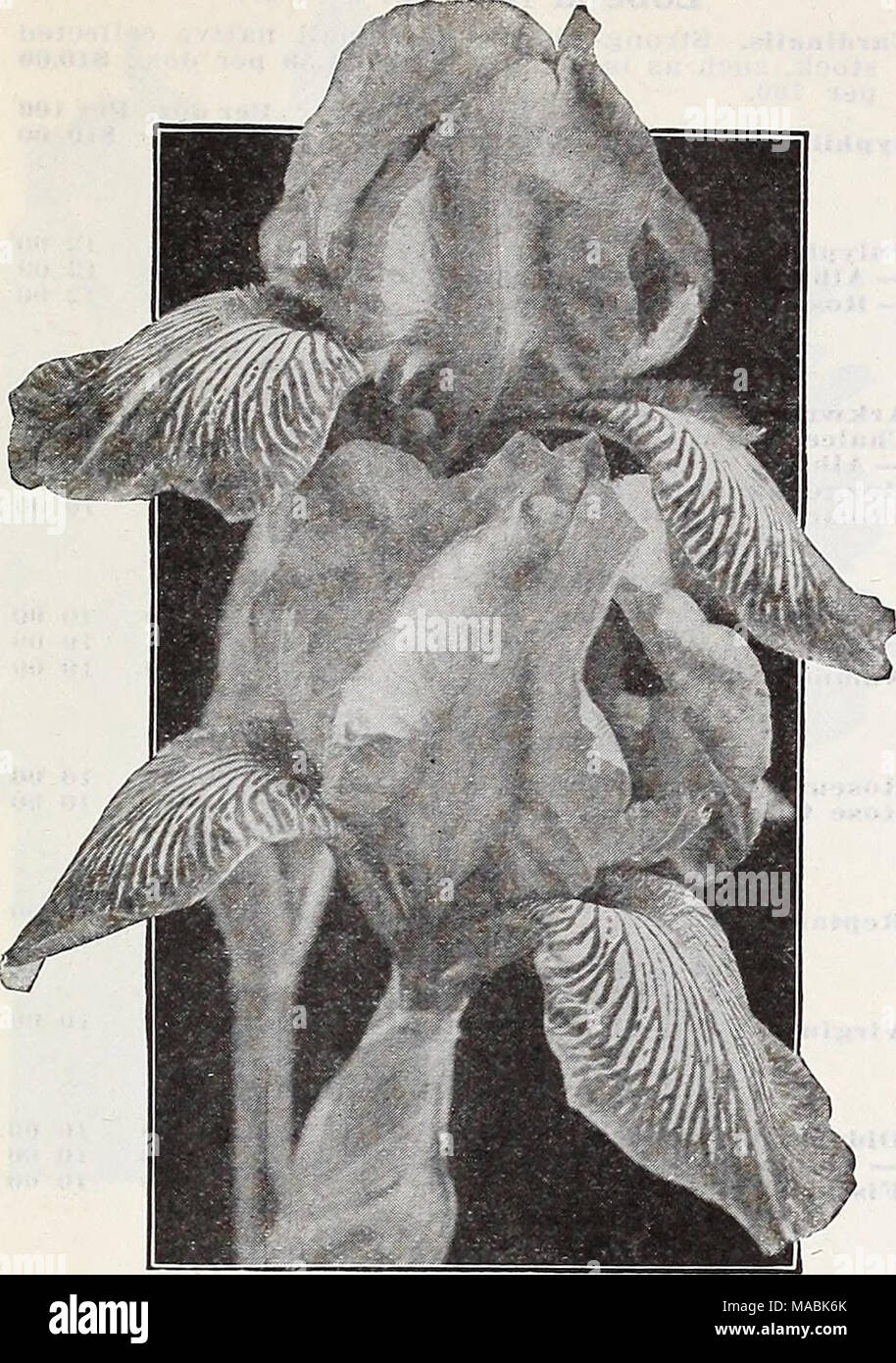 Vari sized hi-res stock photography and images - Alamy