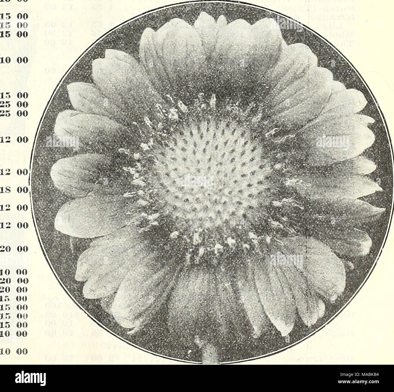 . Dreer's wholesale price list for florists : flower seeds plants and ...