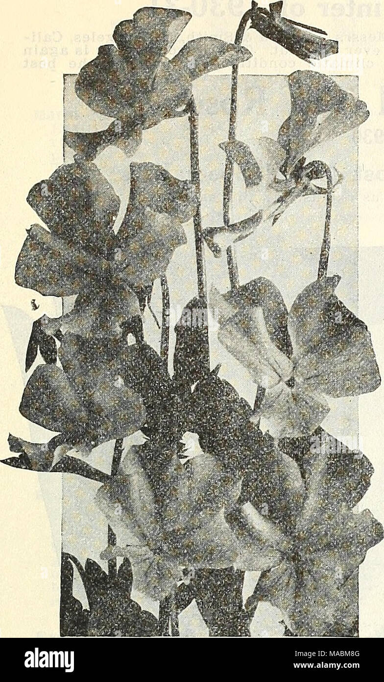 Val seeds hi-res stock photography and images - Alamy