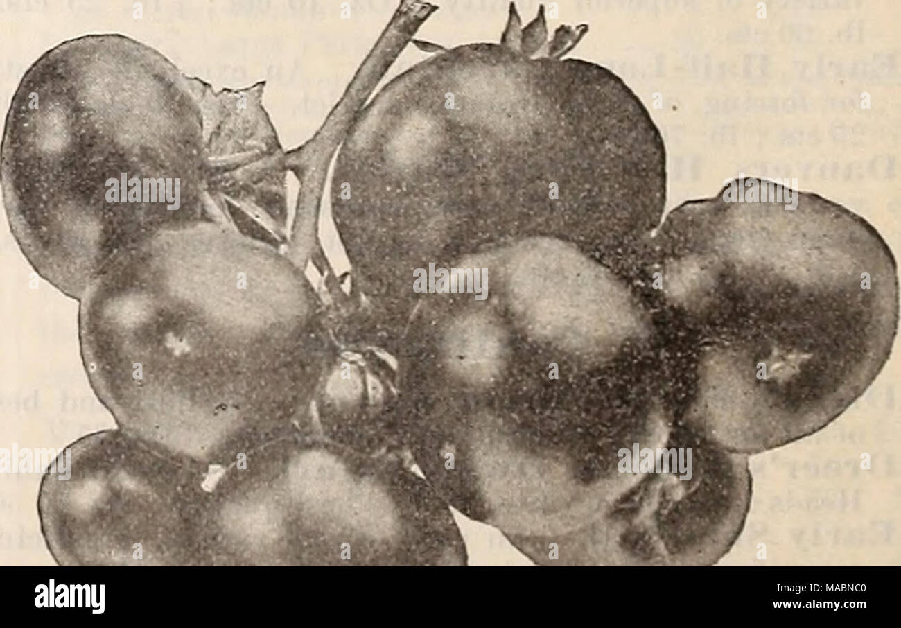 Ai seeds hi-res stock photography and images - Alamy