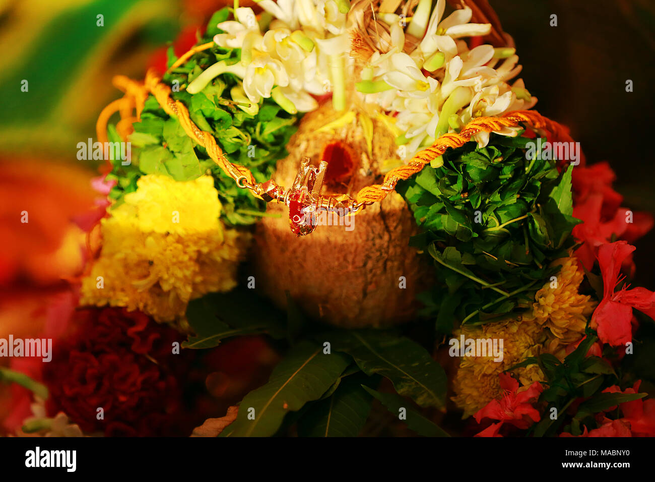 South Indian thaali wrapped around coconut and decorated with garland ...
