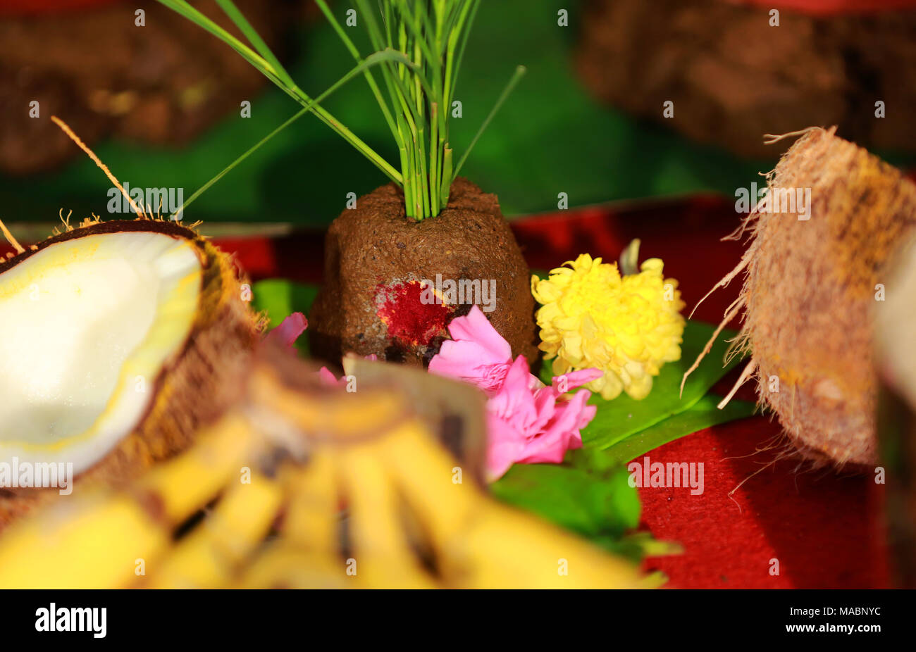indian wedding ritual with banana Stock Photo - Alamy