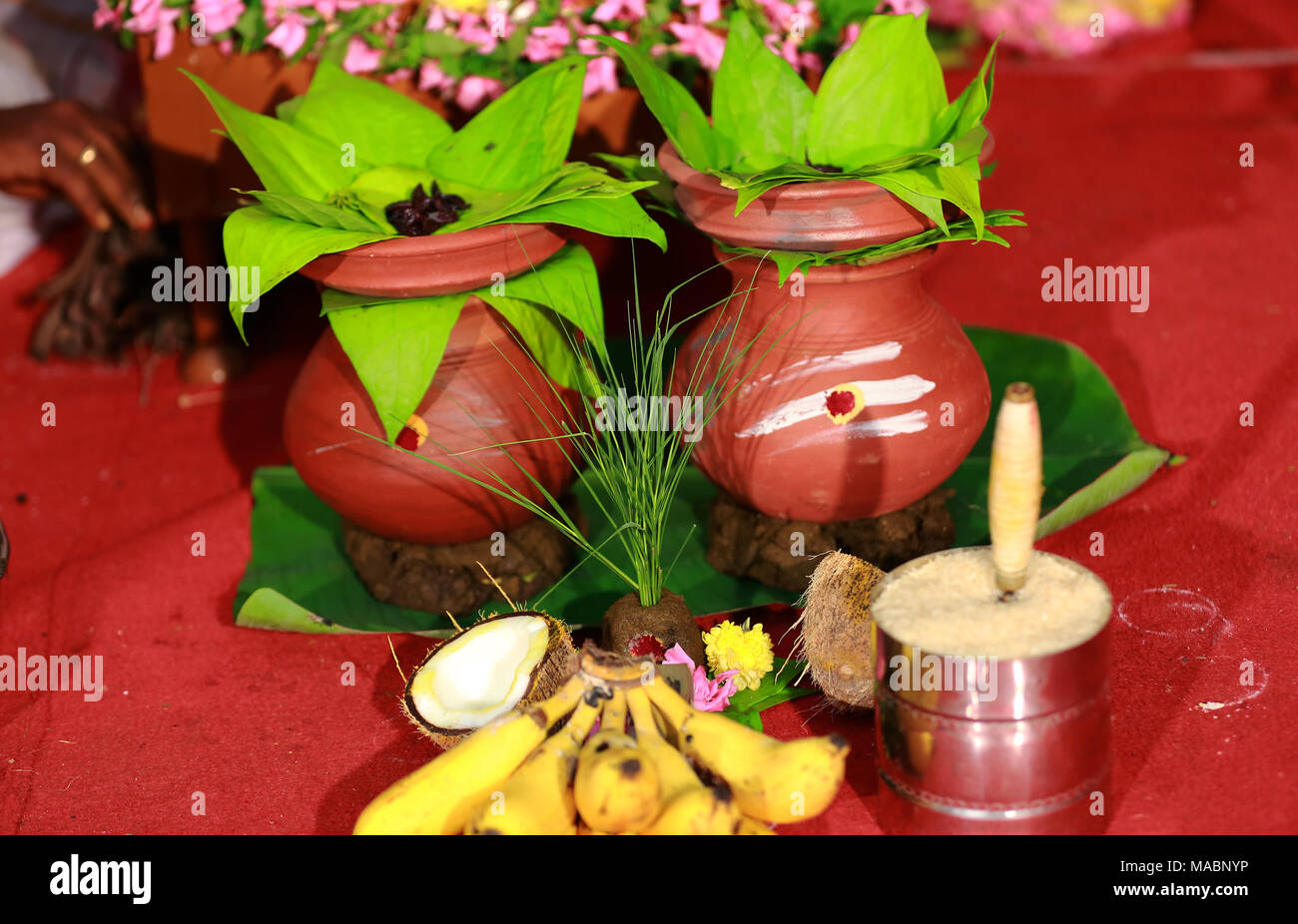 indian wedding ritual, coconut, banana Stock Photo - Alamy