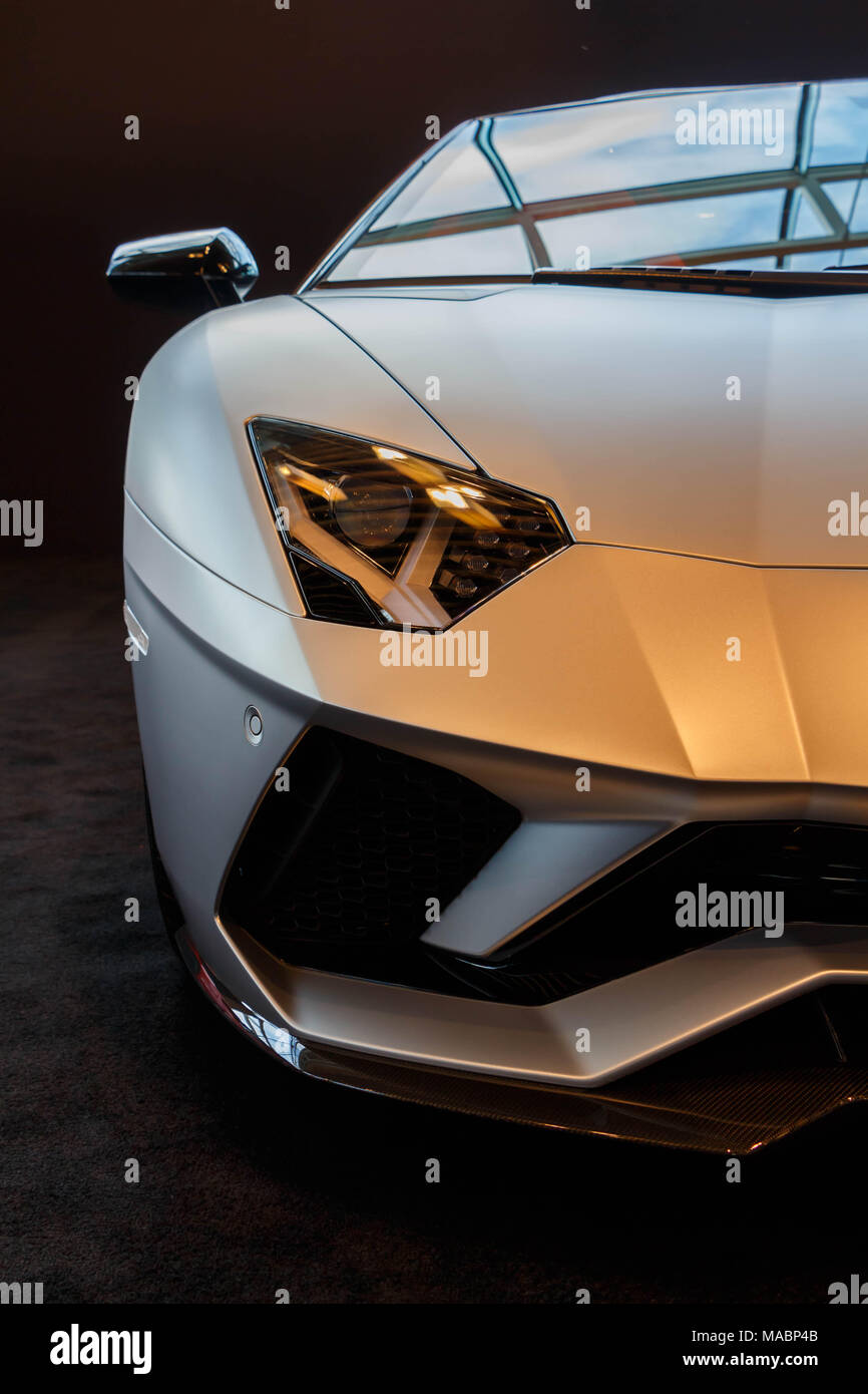 Lamborghini Gold And Silver