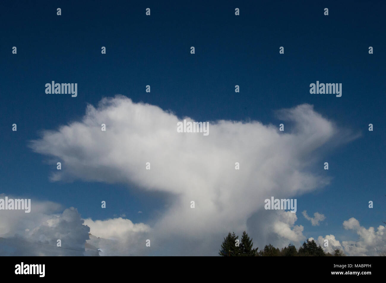 Washngton State High Resolution Stock Photography and Images - Alamy