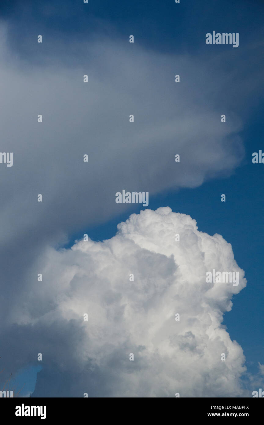 Washngton State High Resolution Stock Photography and Images - Alamy