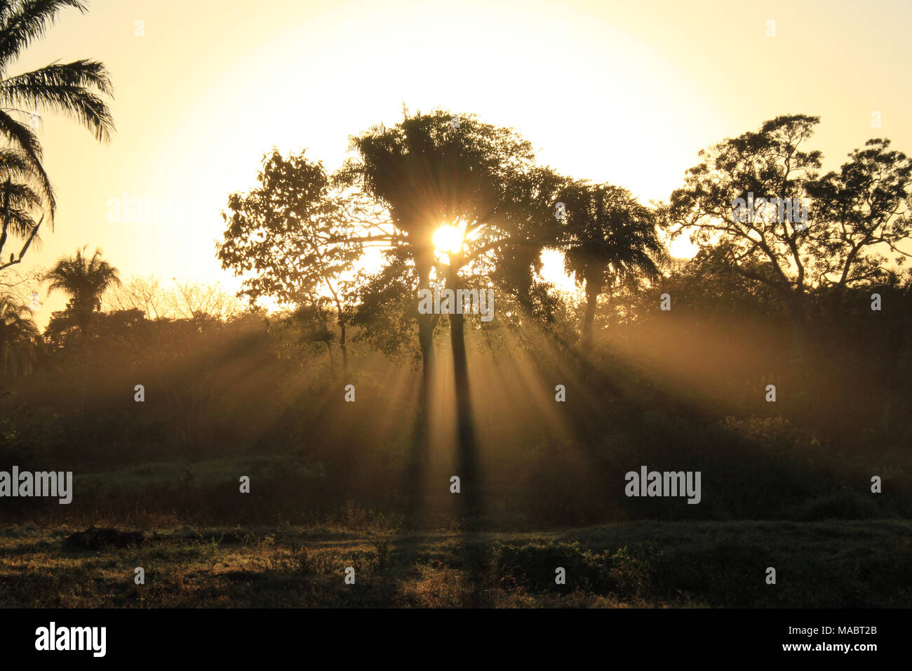 Rays sunburst hi-res stock photography and images - Alamy