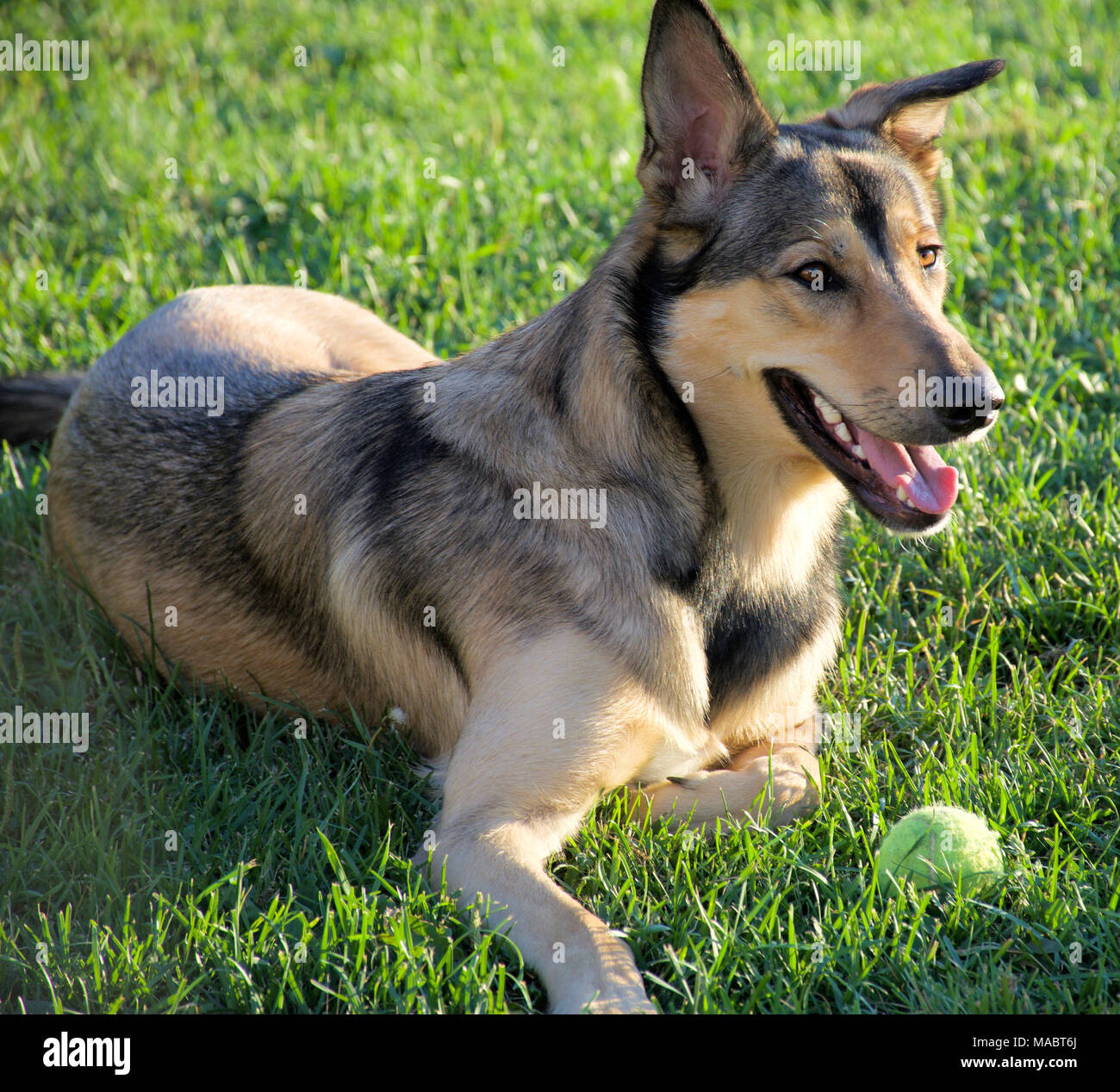 Lopsided face hi-res stock photography and images - Alamy