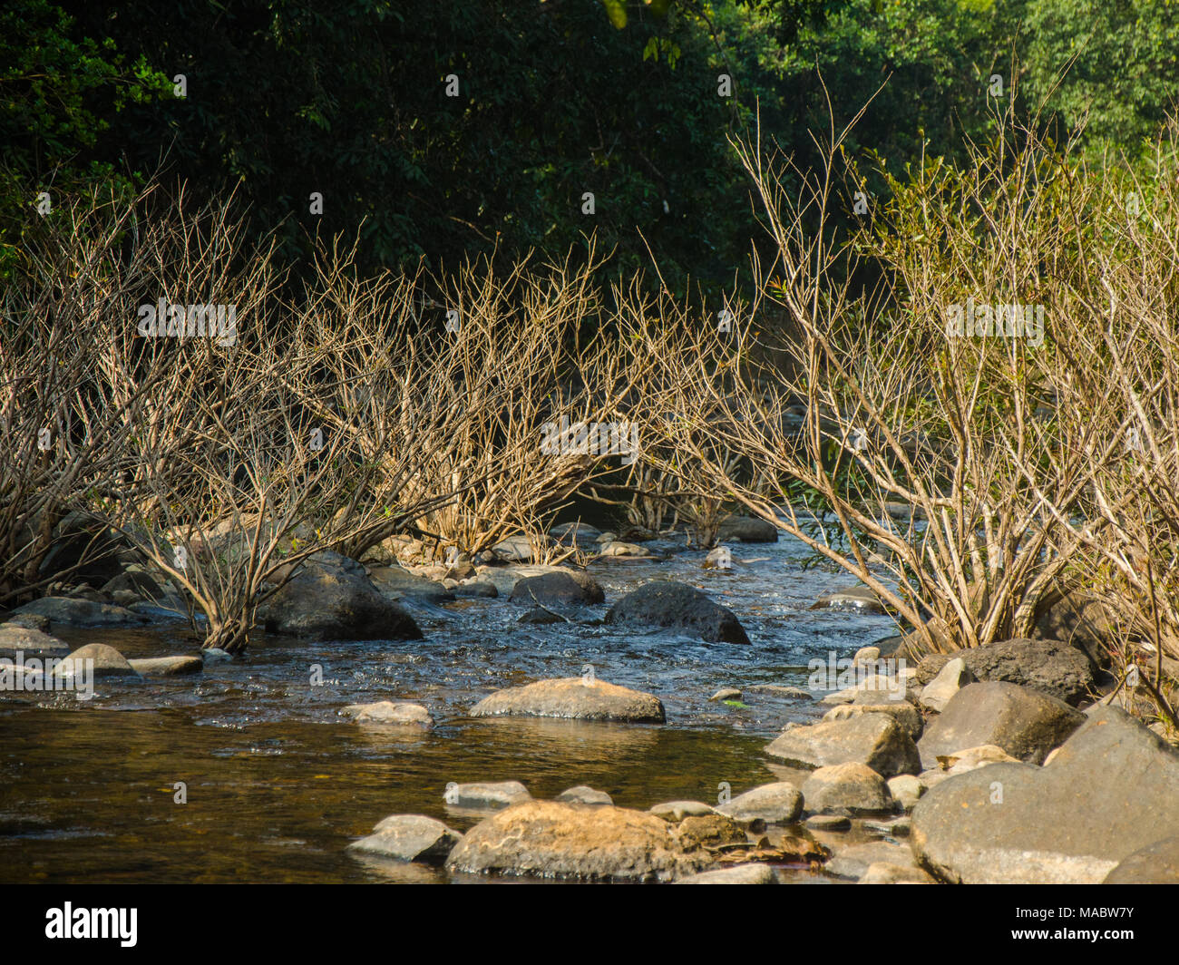 Neturlem hi-res stock photography and images - Alamy