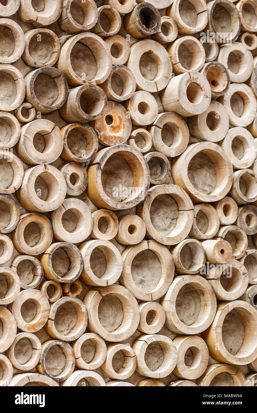 Bamboo wall hi-res stock photography and images - Alamy