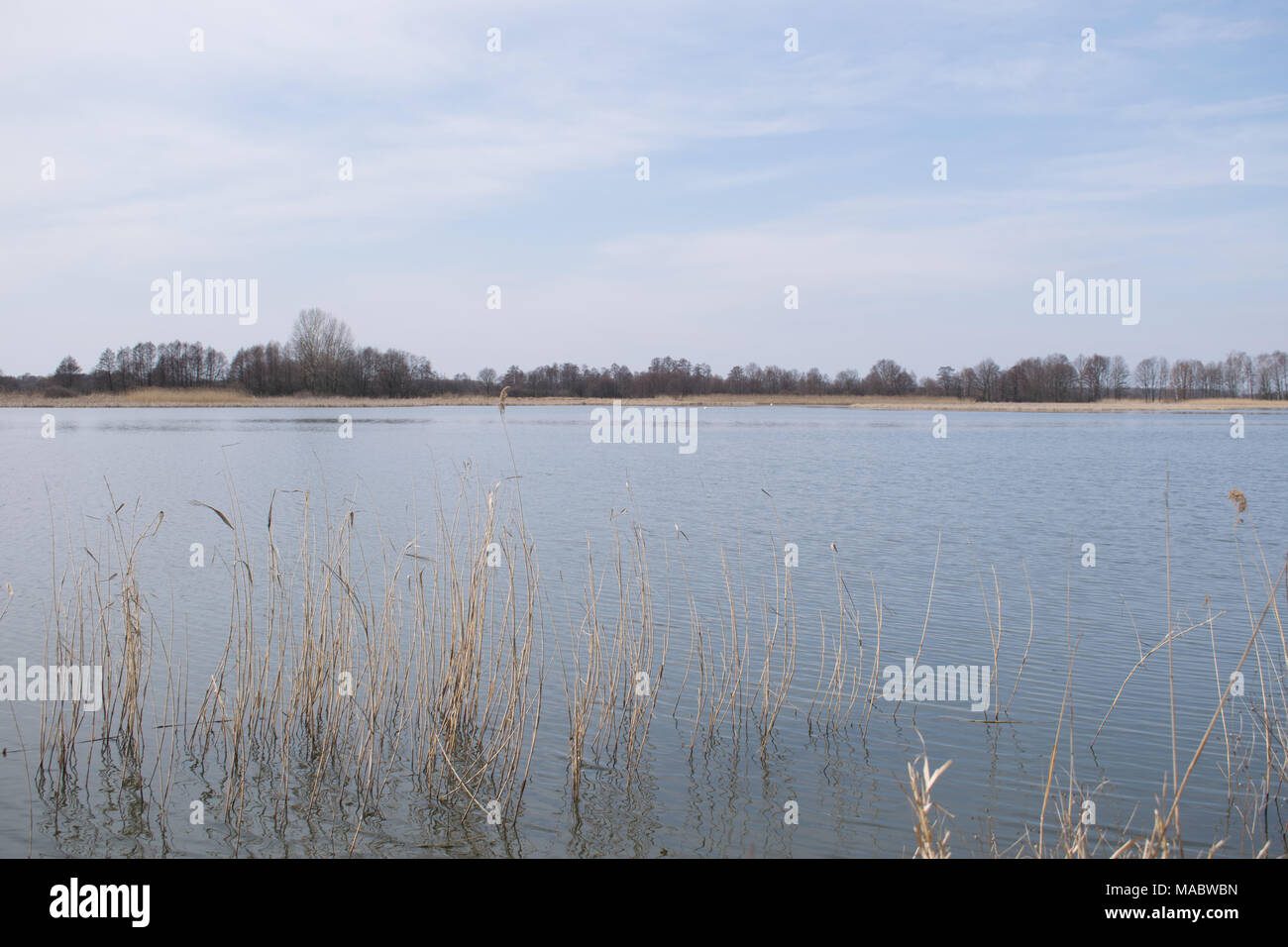 Spring water and horizon hi-res stock photography and images - Alamy