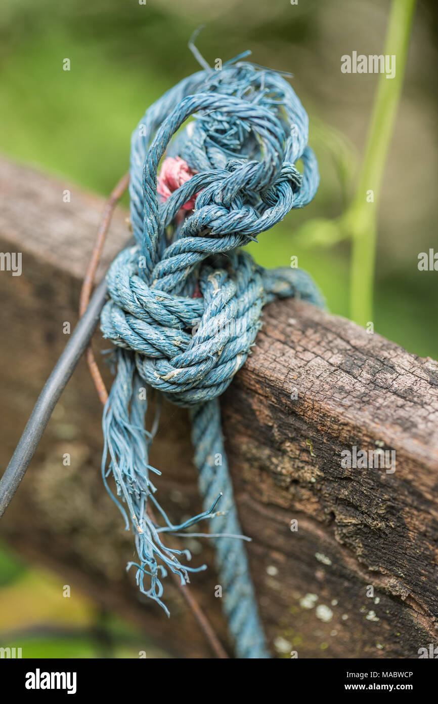 Wood pole with rope hi-res stock photography and images - Alamy