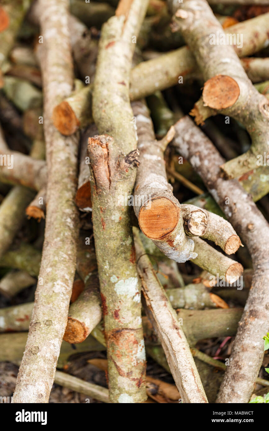 Pyre lodge hi-res stock photography and images - Alamy