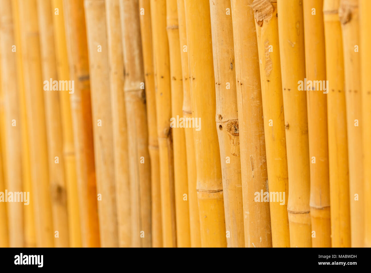 bamboo fence background Stock Photo - Alamy
