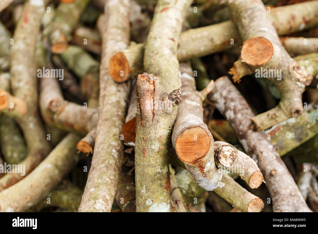 Pyre lodge hi-res stock photography and images - Alamy