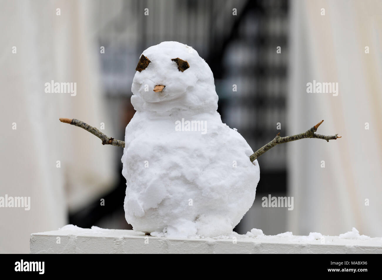 Snowman Twig Arms