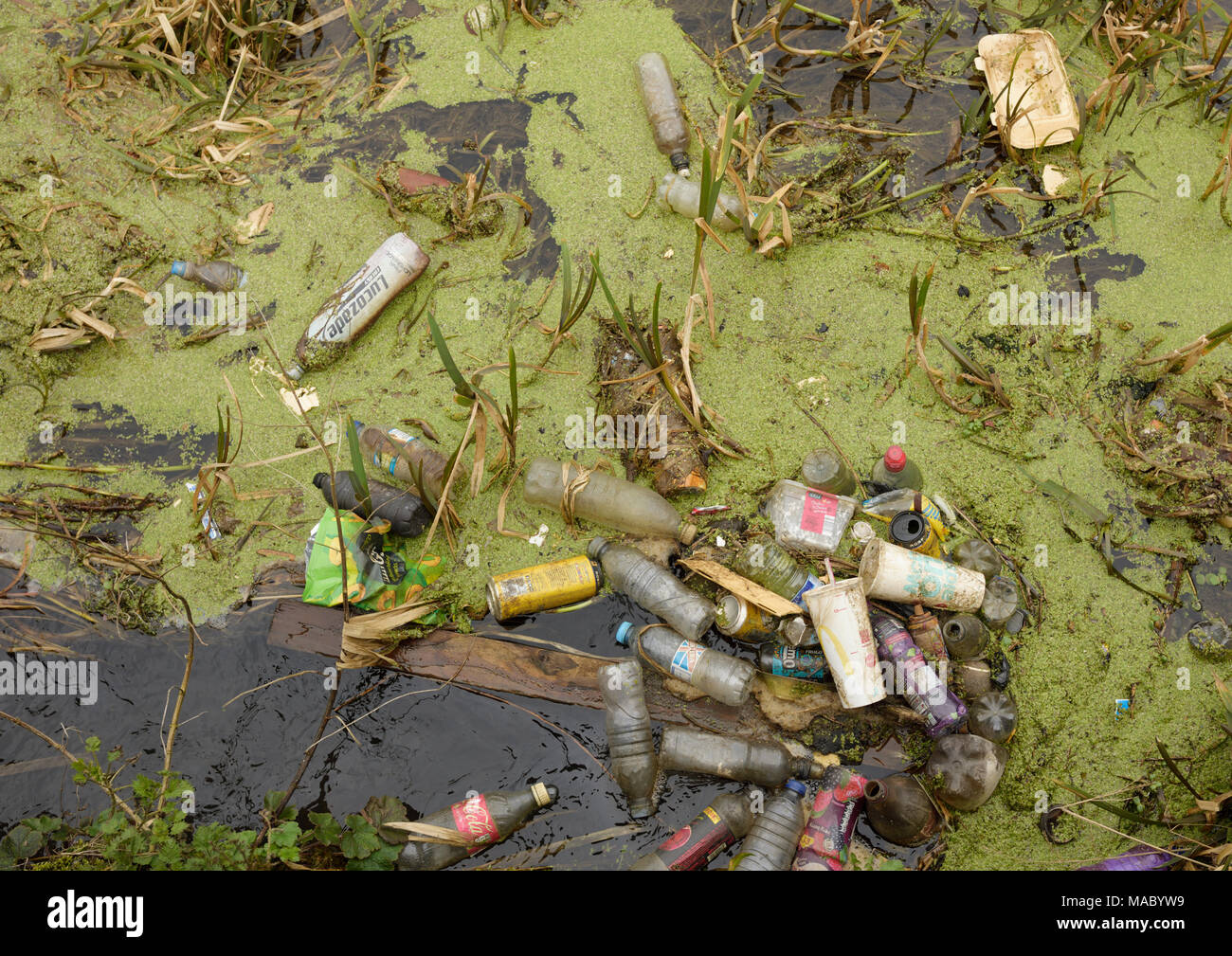 Plastic bottles and food packaging thrown away, dumped in canal at ...