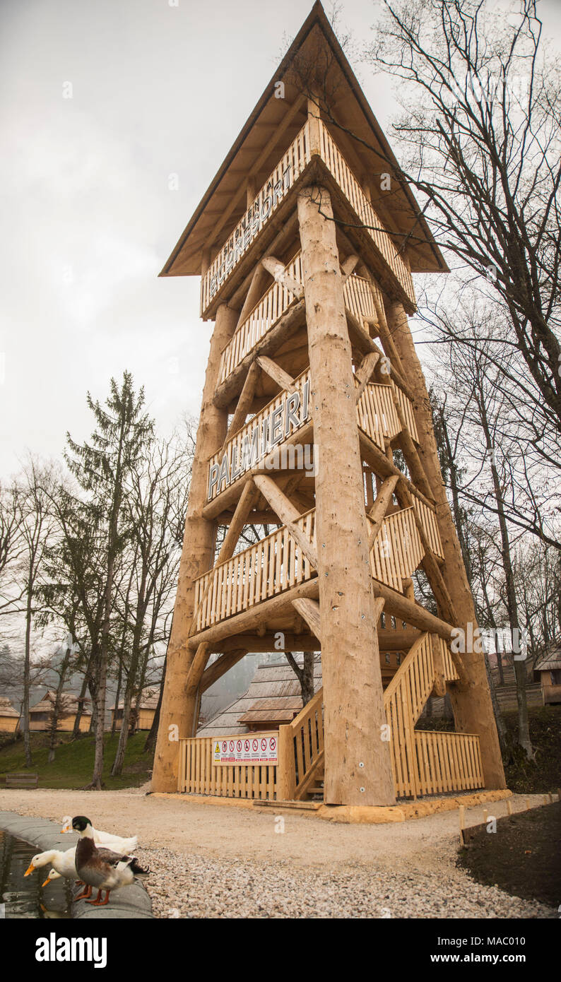 Traditional hunting practice hi-res stock photography and images - Alamy