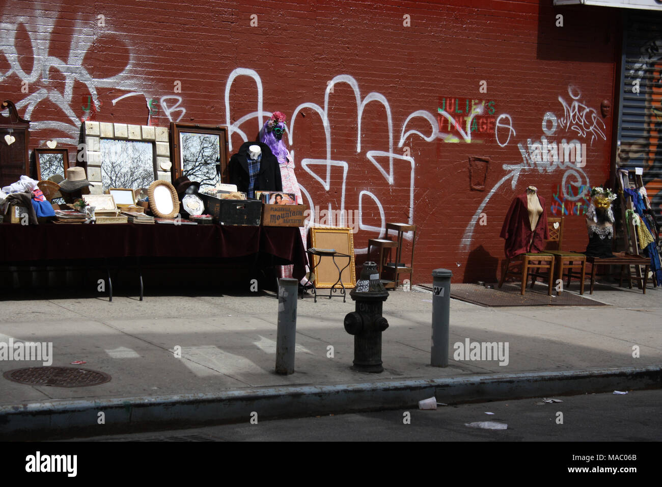 Rebel flower hi-res stock photography and images - Alamy