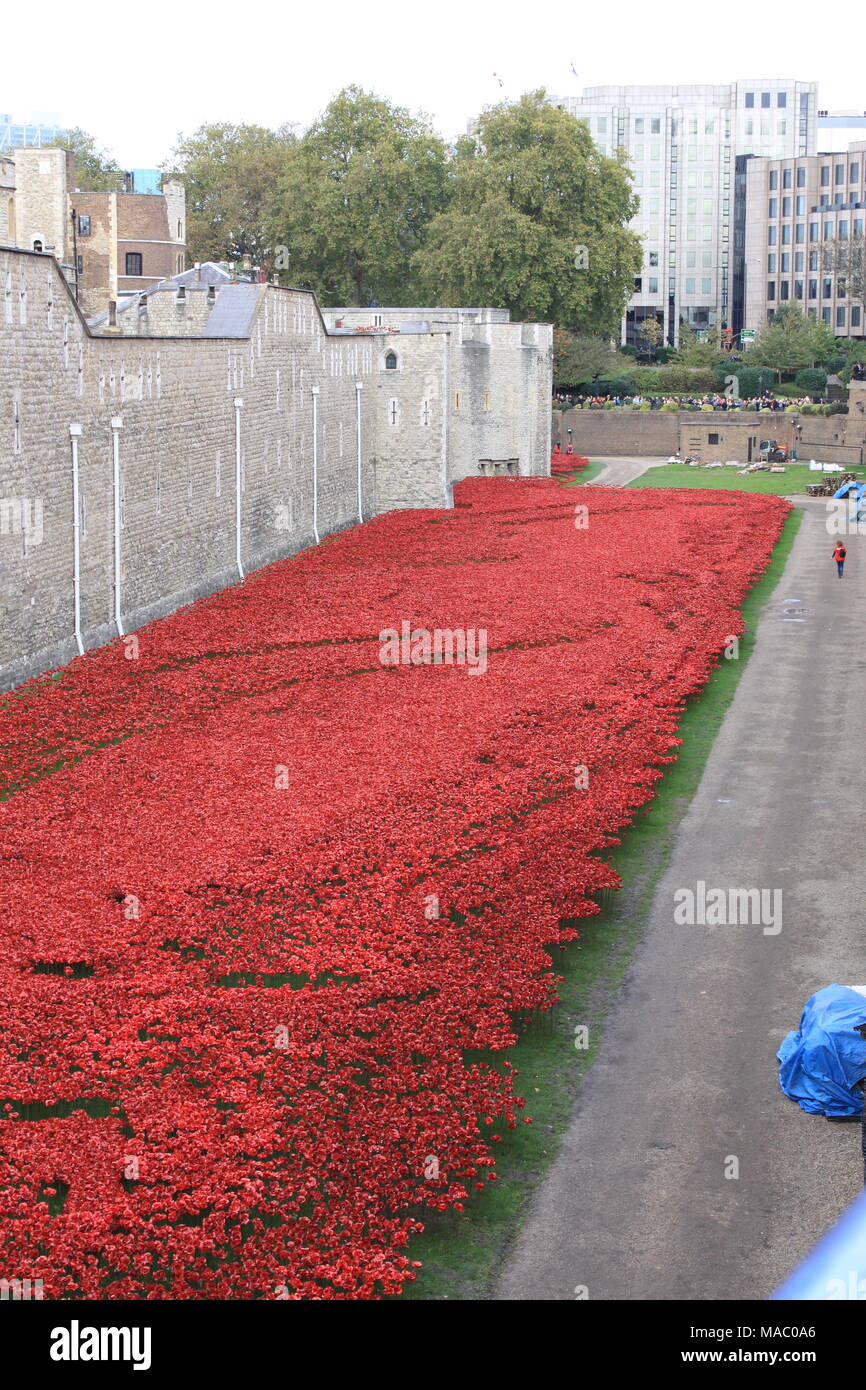 Blood Swept Lands and Seas of Red was a work of installation art placed ...
