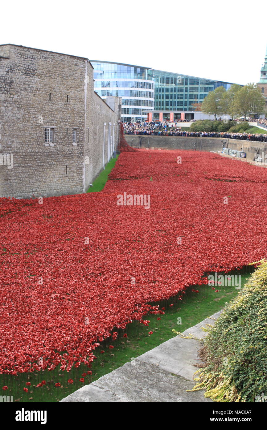 Blood Swept Lands and Seas of Red was a work of installation art placed ...