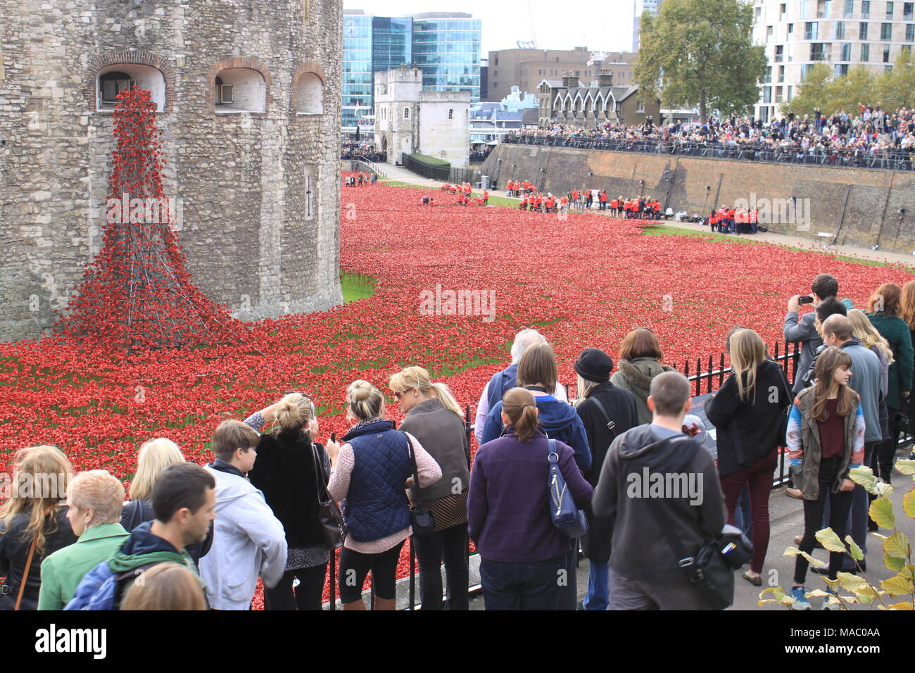Blood Swept Lands and Seas of Red was a work of installation art placed ...