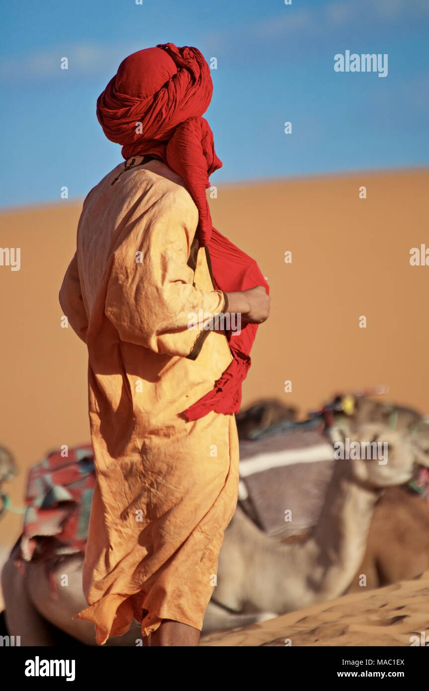 Sahara Desert Berbers Berber trekking tours with camels Stock Photo - Alamy