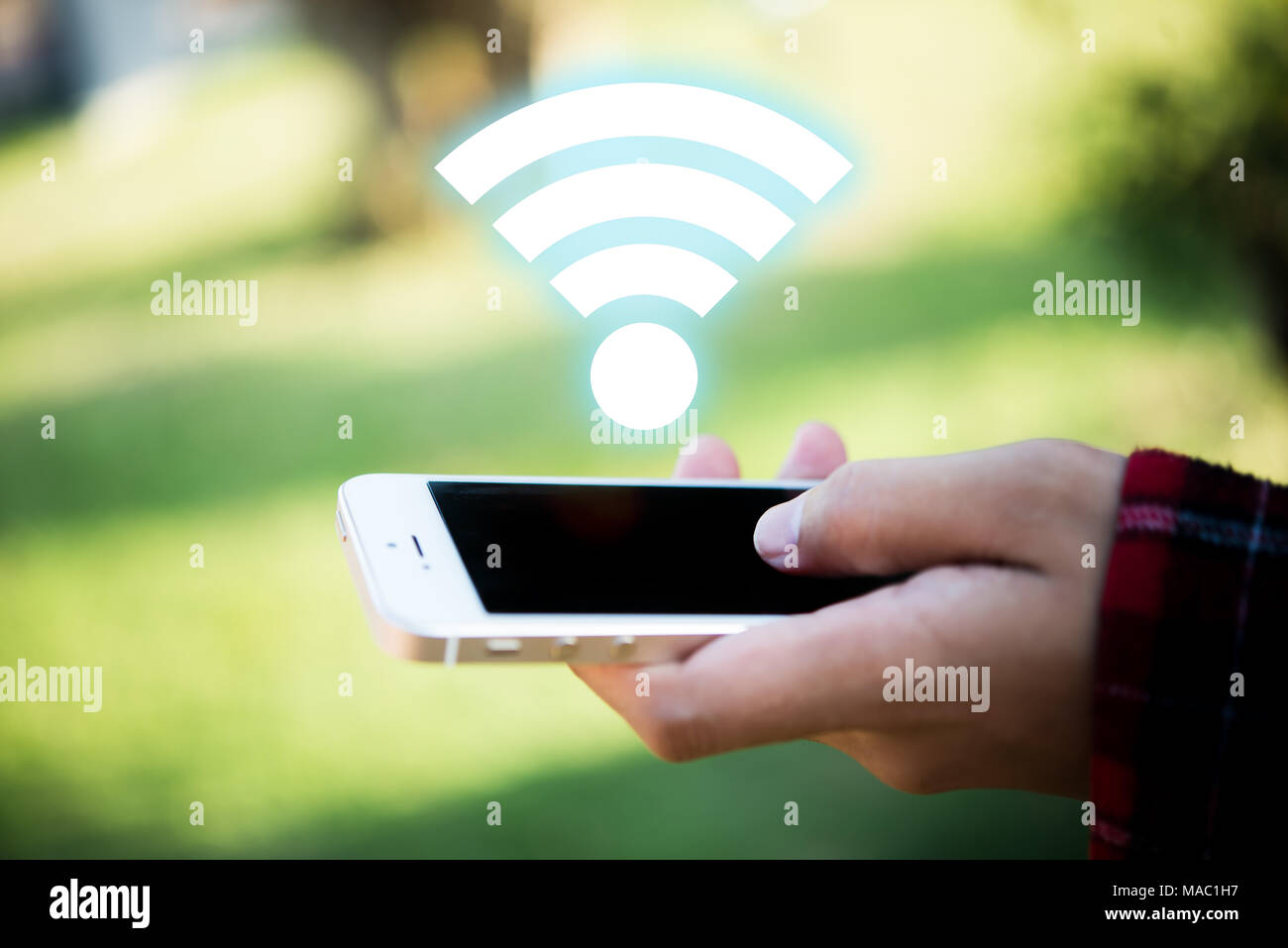 Woman's hand holding mobile smart phone with wifi connecting screen ...