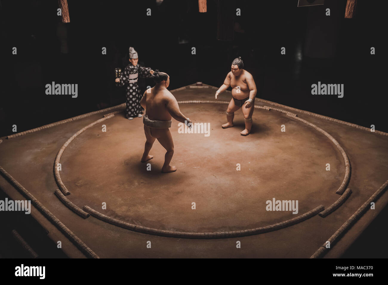 Sumo wrestlers on display in London at the Isle of Dogs exhibition ...