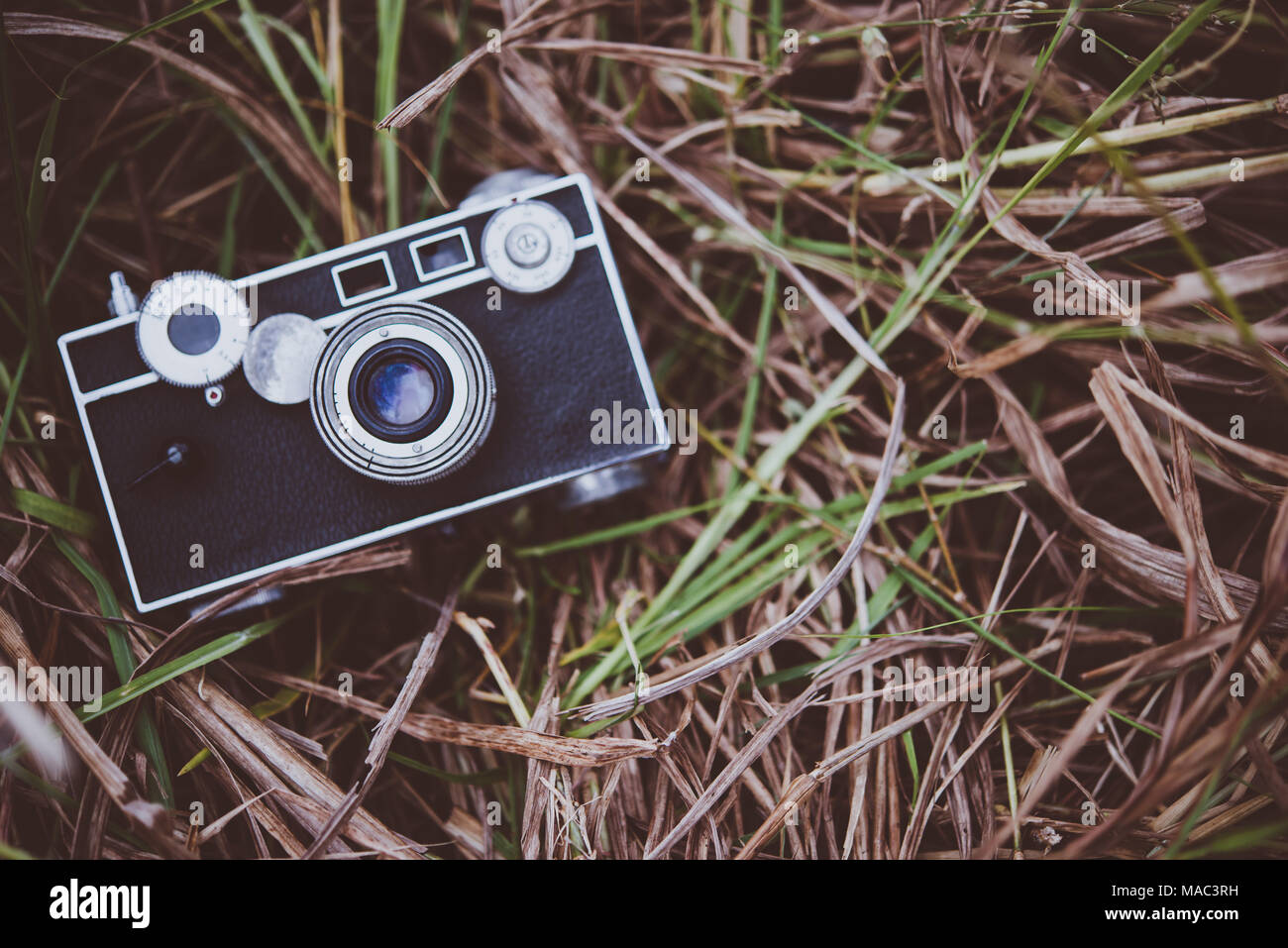 Old vintage camera in grass field. Vintage image tone style Stock Photo ...