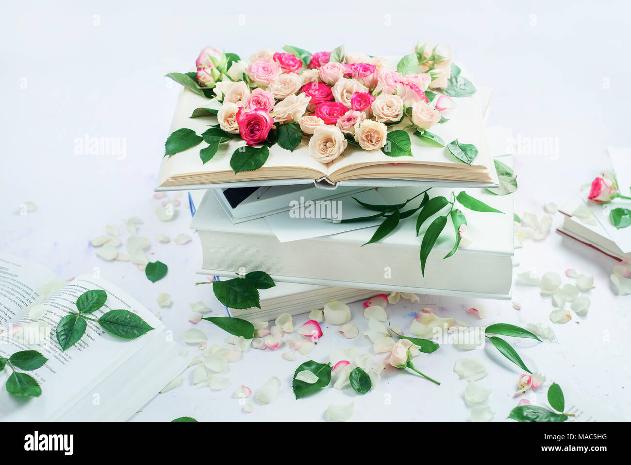 Header with a stack of white books with flowers and petals. Spring ...