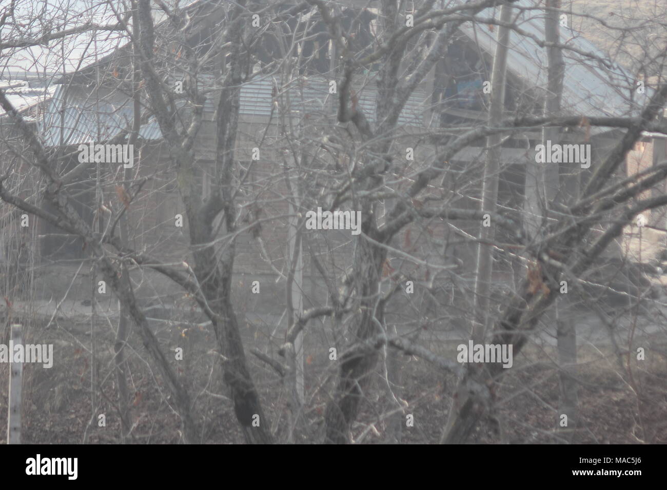 Random real Pictures Stock Photo - Alamy