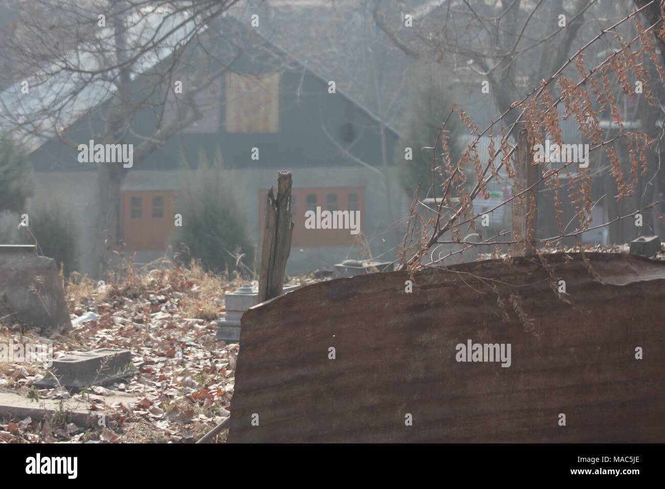 Real earth pictures hi-res stock photography and images - Alamy