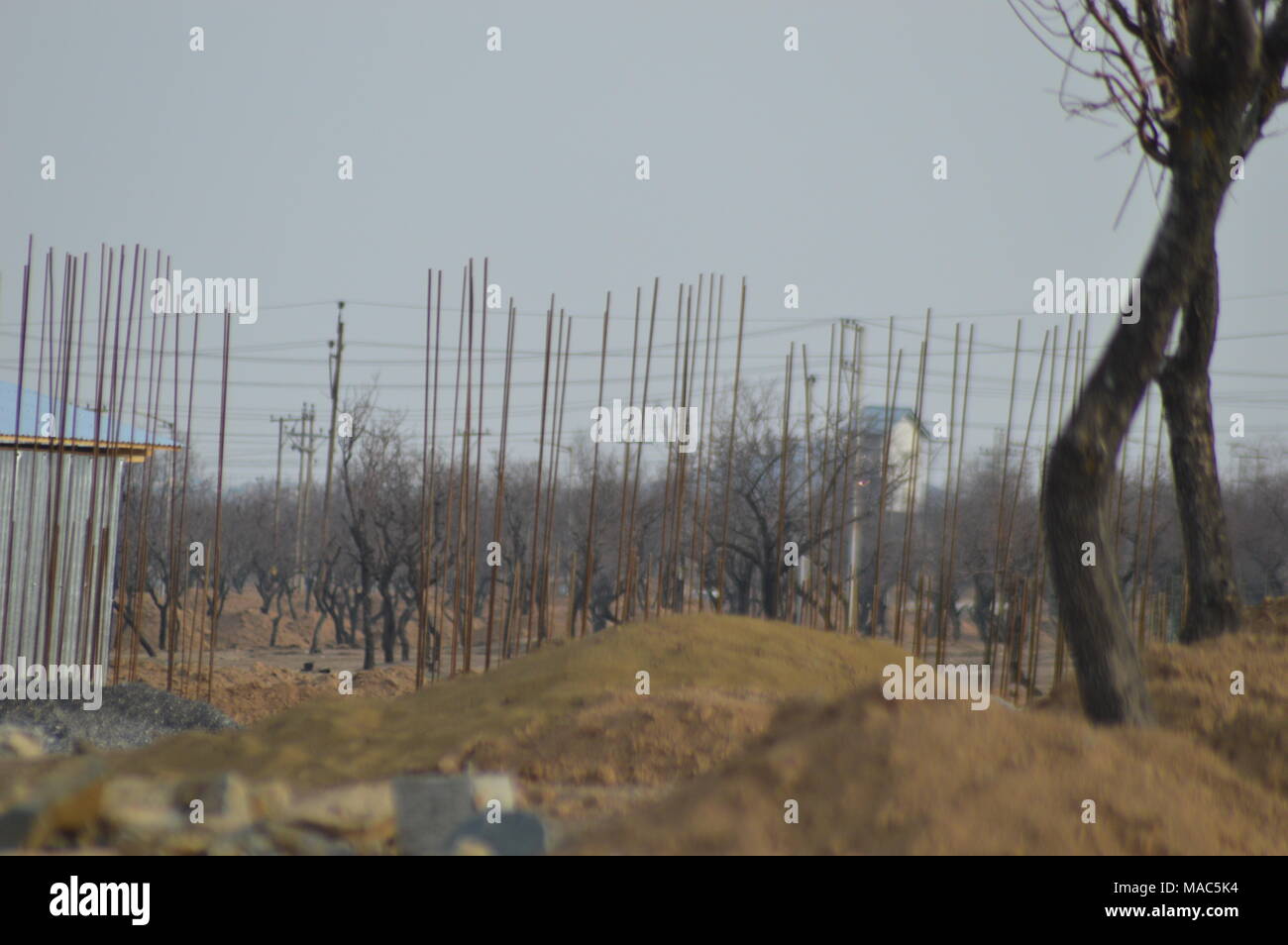 Real earth pictures hi-res stock photography and images - Alamy