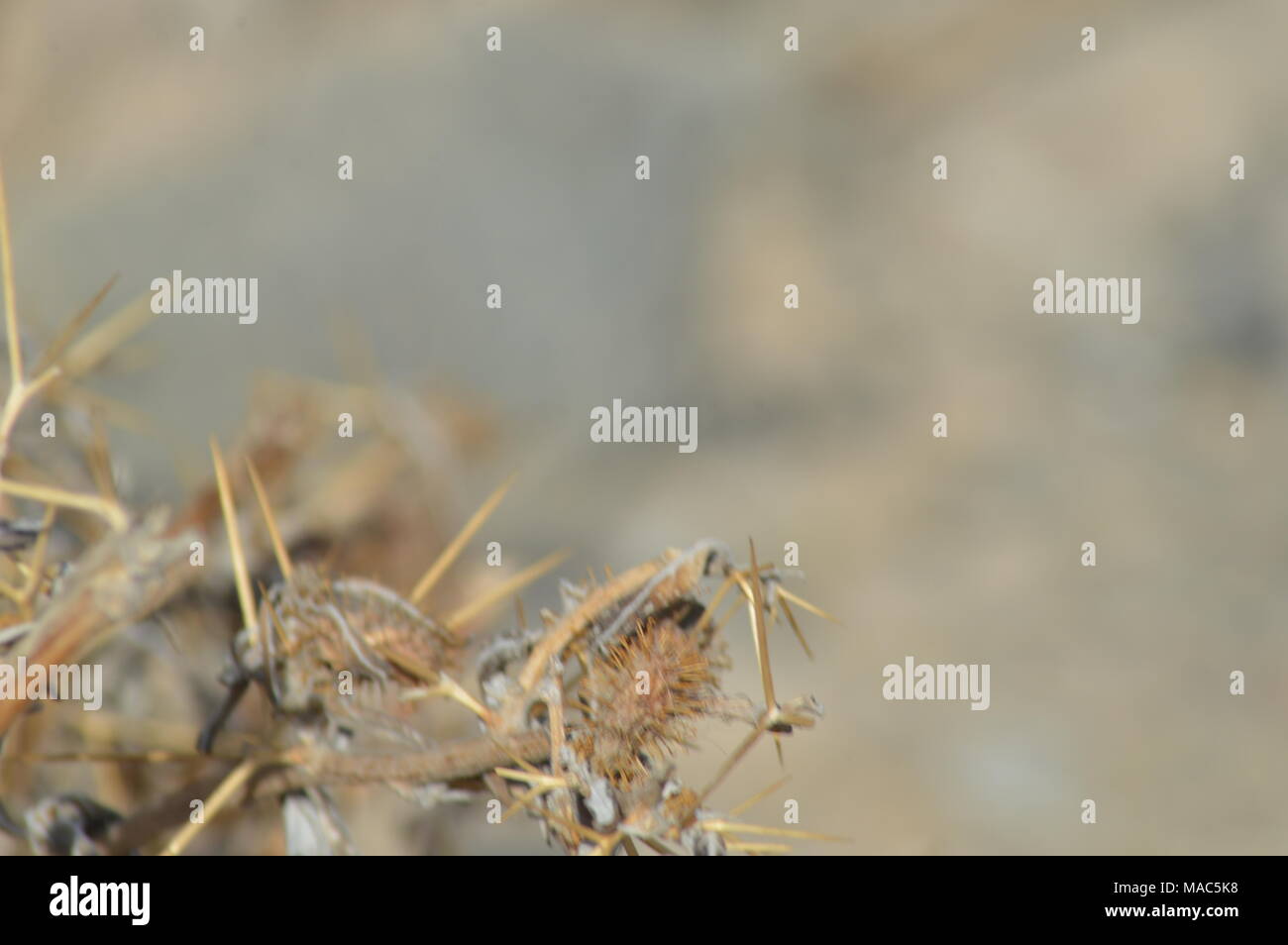 Real earth pictures hi-res stock photography and images - Alamy