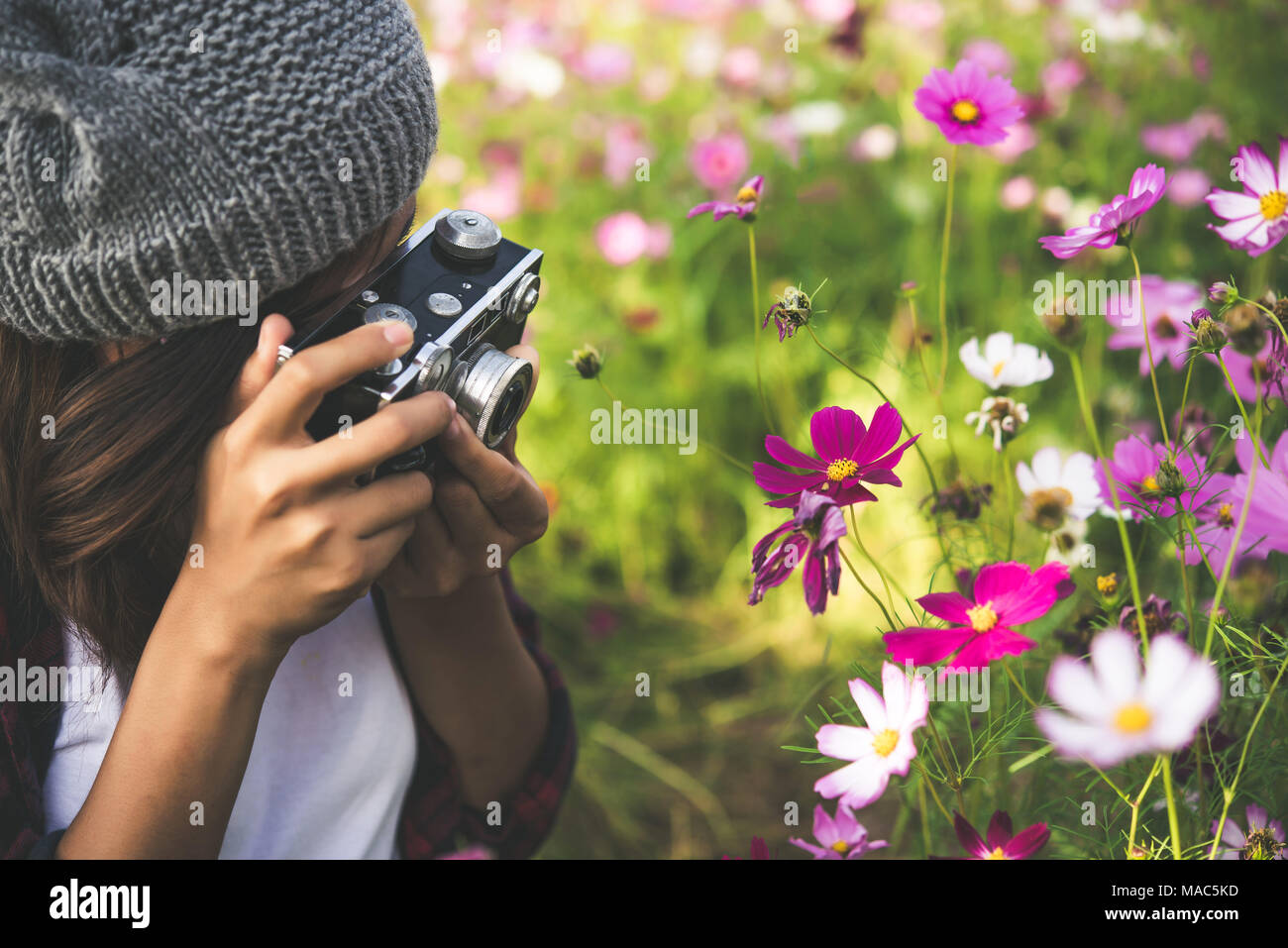 Hipster girl with vintage camera focus shooting flowers at garden Stock ...