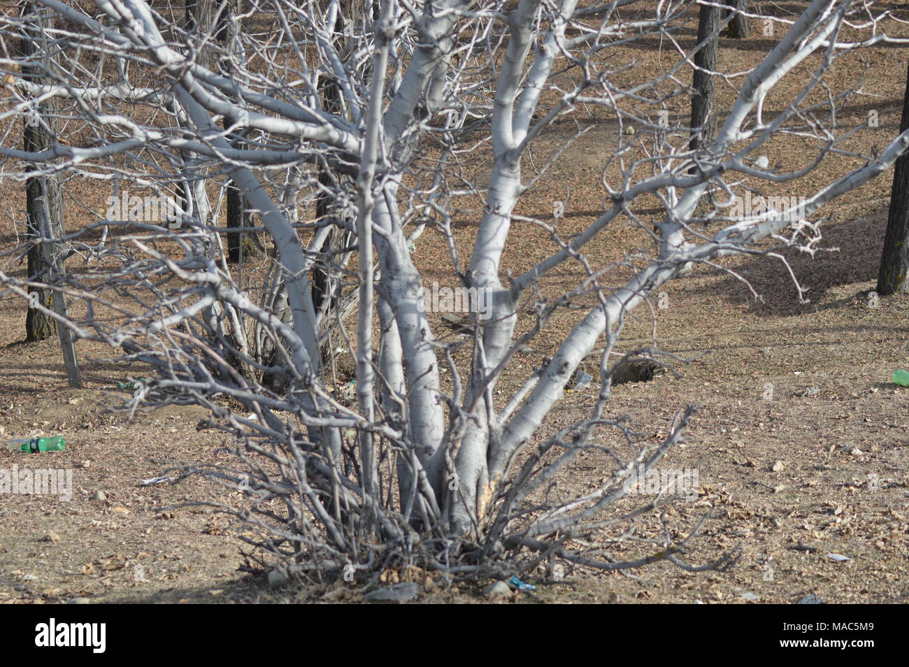 Random real Pictures Stock Photo - Alamy