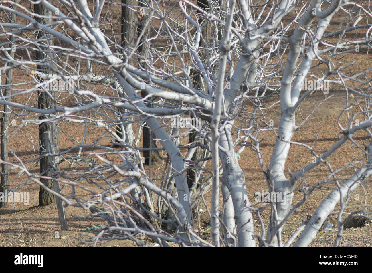 Random real Pictures Stock Photo - Alamy