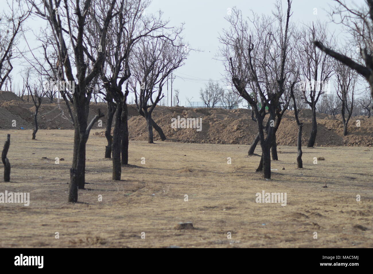 Real earth pictures hi-res stock photography and images - Alamy