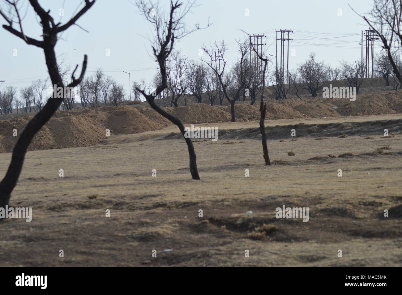 Real earth pictures hi-res stock photography and images - Alamy